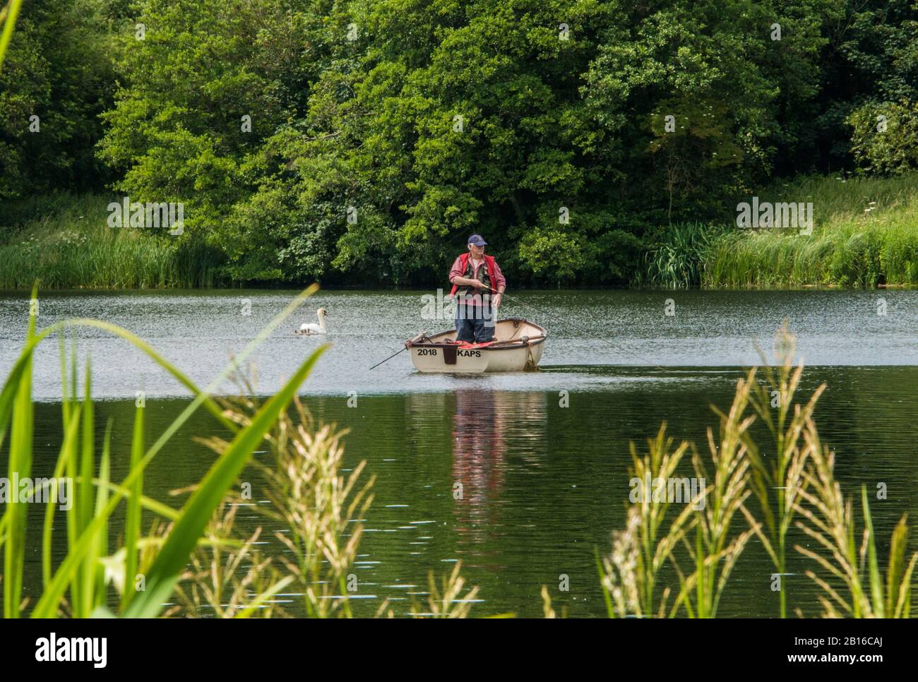 fishing from a rowboat Stock Photo - Alamy