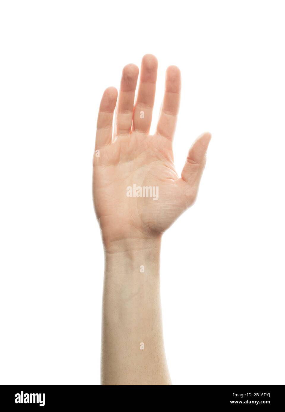 Empty taking man hand isolated on white. Hand holding person Stock ...