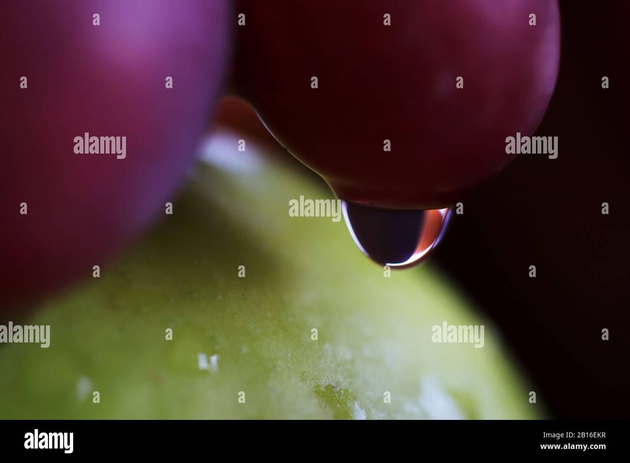 Water droplet on purple grape hi-res stock photography and images - Alamy