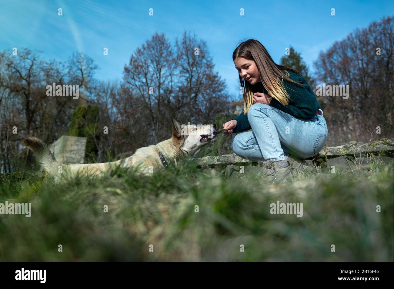 girl with a dog in the park Stock Photo - Alamy