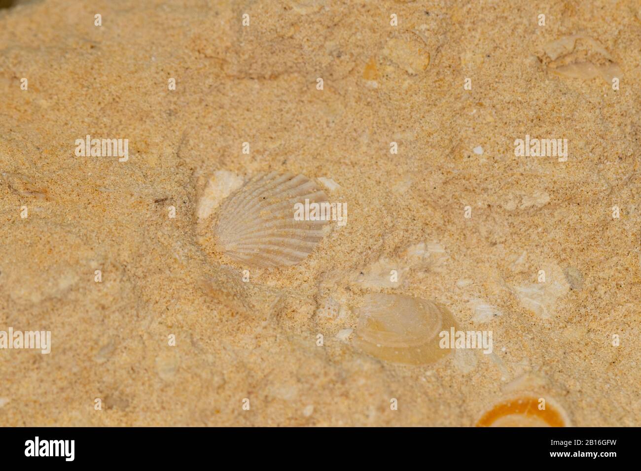 Horizontal cones of bright colored sewing thread in Blue red yellow and ...