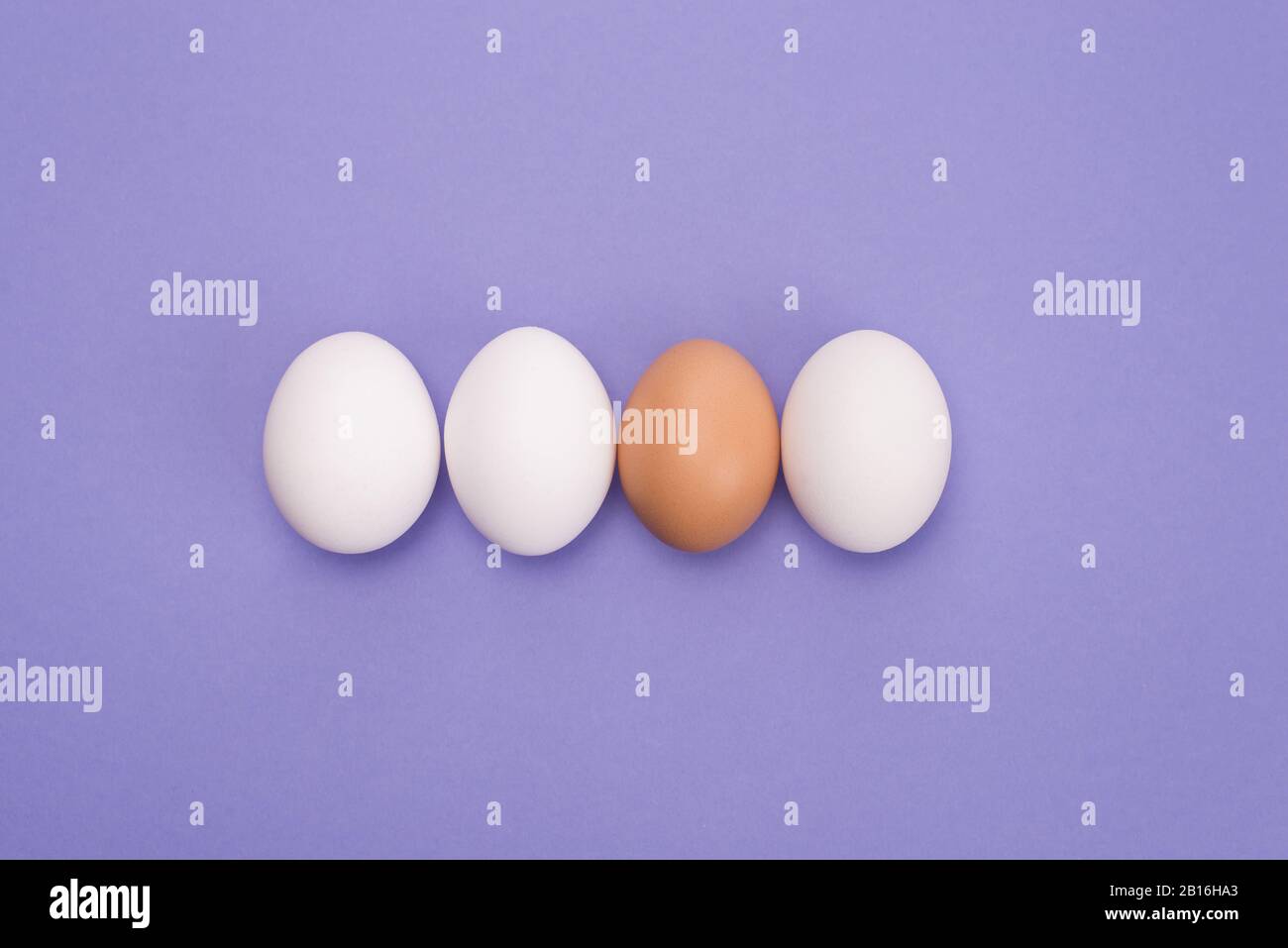 Leadership concept. Top above close up view photo of three same eggs ...