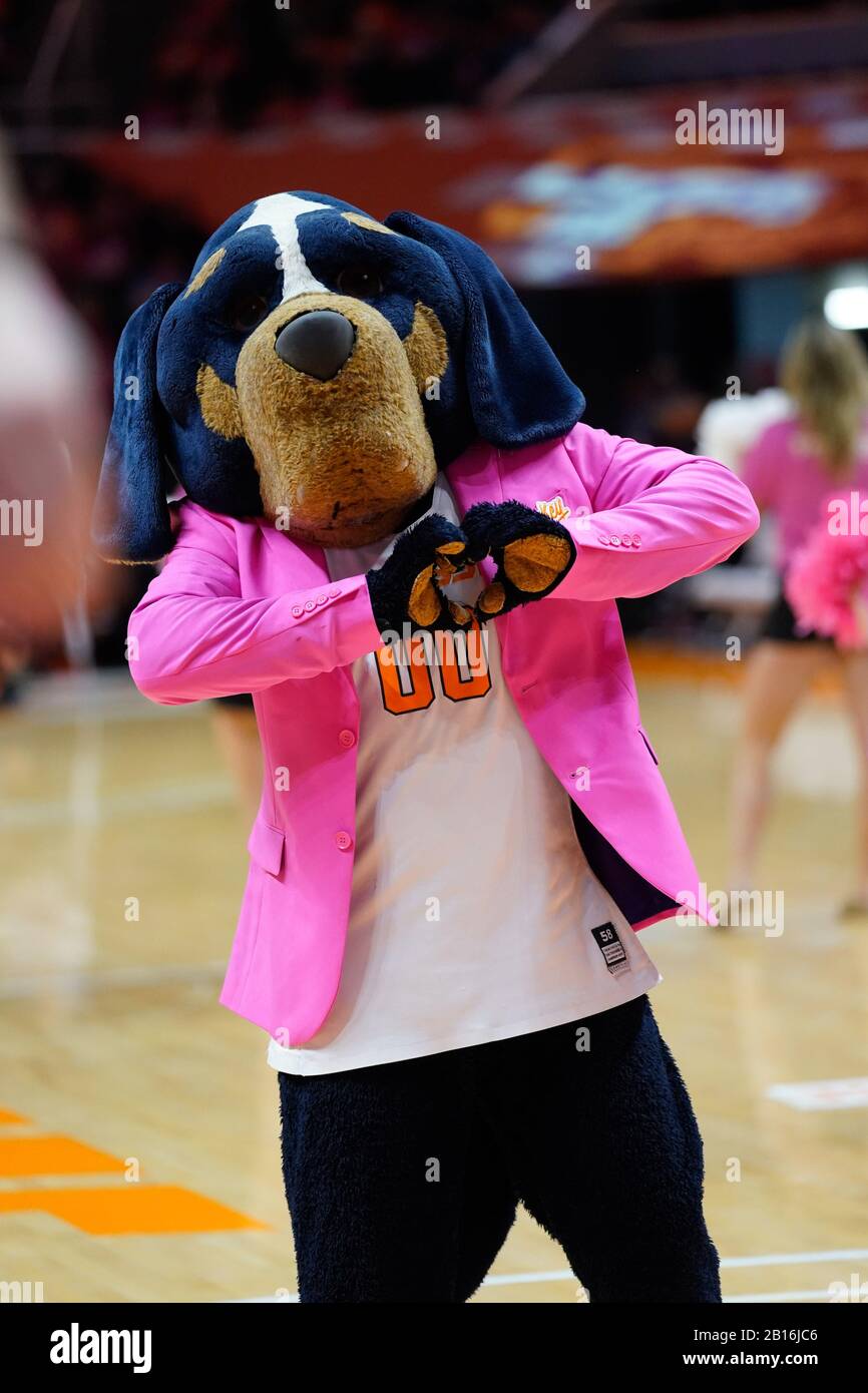 University Of Tennessee Mascot High Resolution Stock Photography and ...