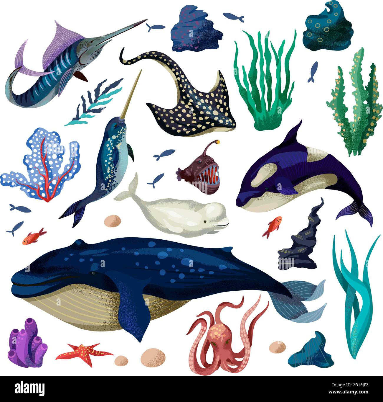 Marine life such as whale, stingray, killer whale, octopus and others ...