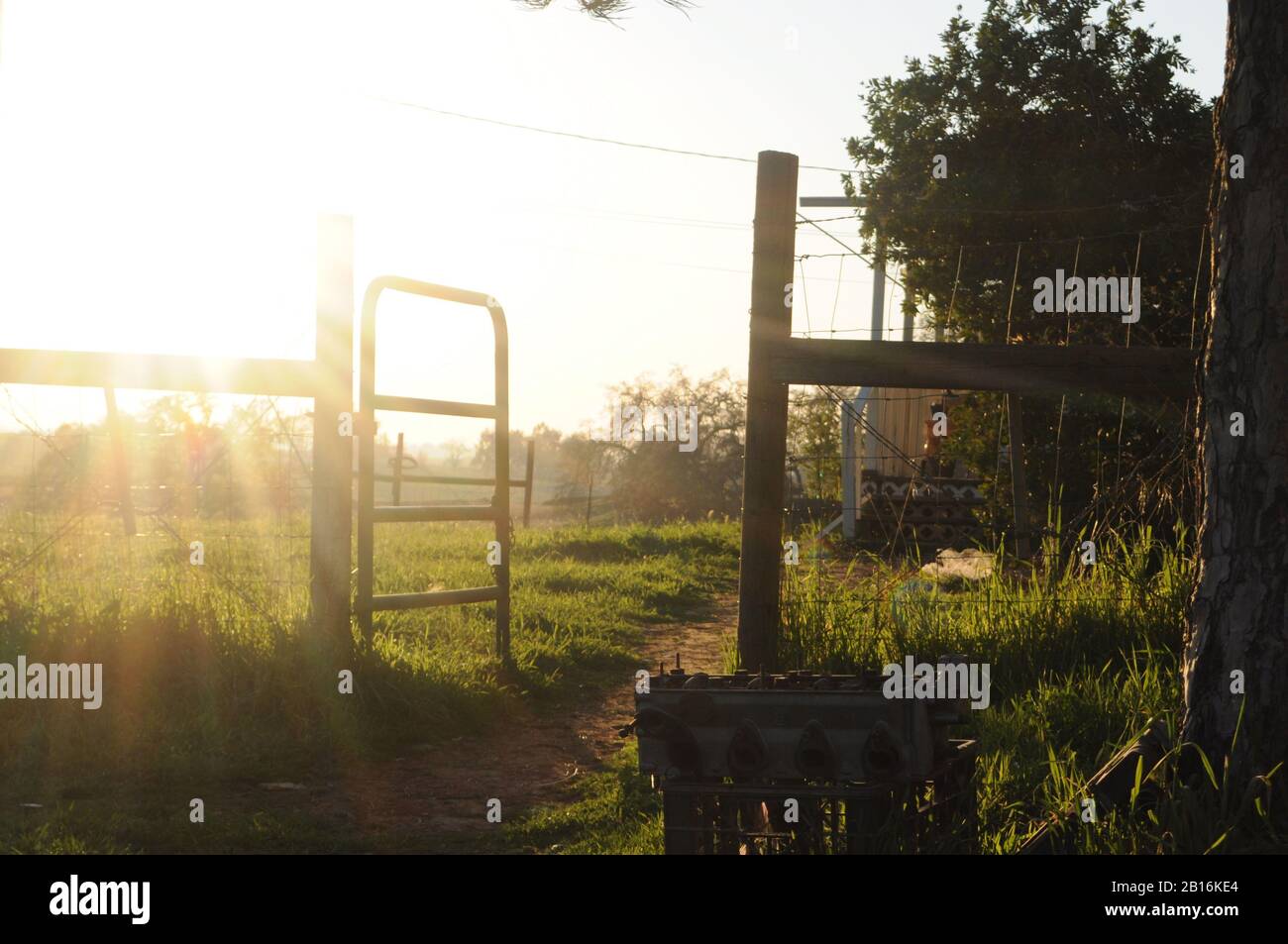 Country Yard with sun flare Stock Photo - Alamy