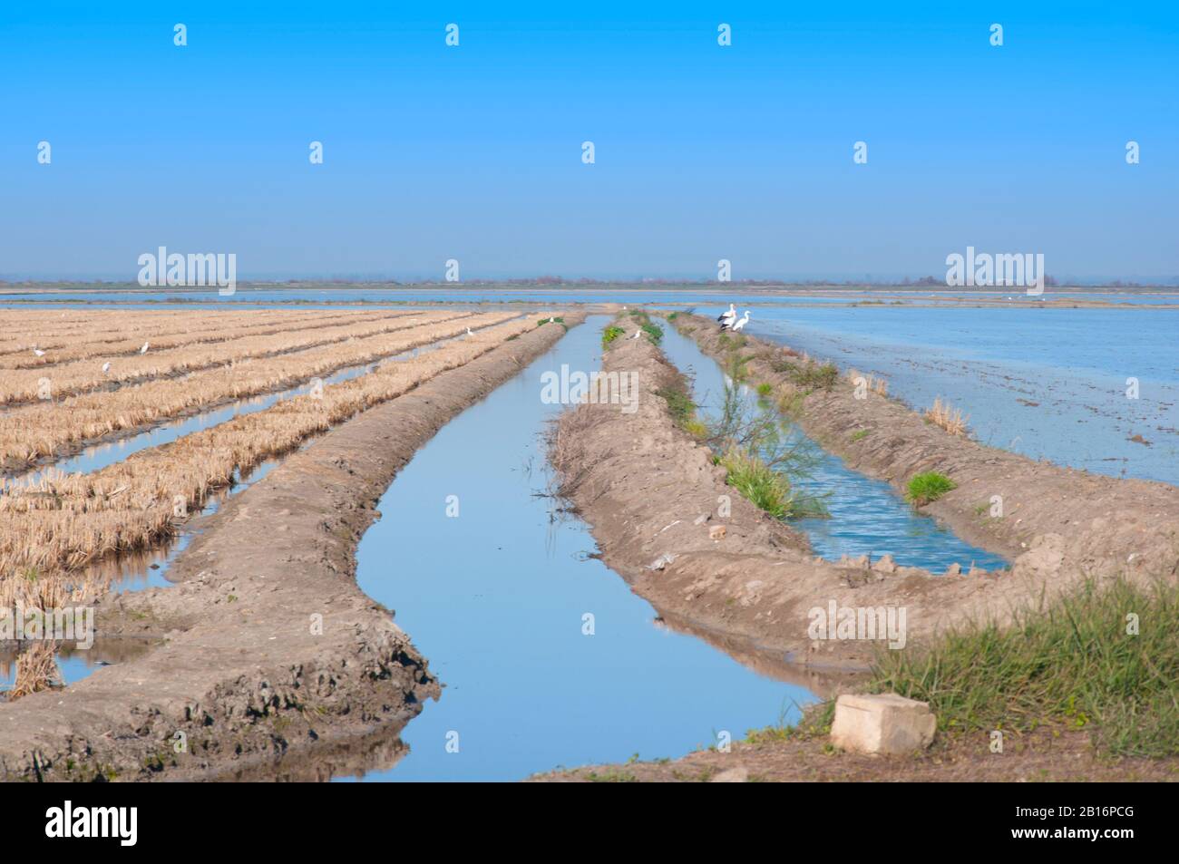 Puddle field hi-res stock photography and images - Alamy