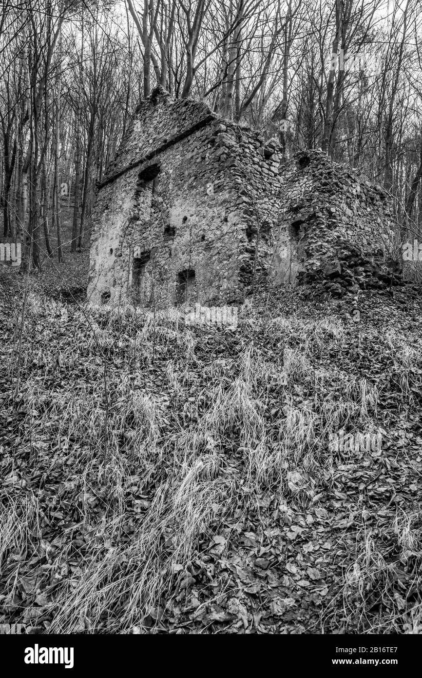 The monastery gate ruins (Czerna Monastery) next to the ruins of the ...
