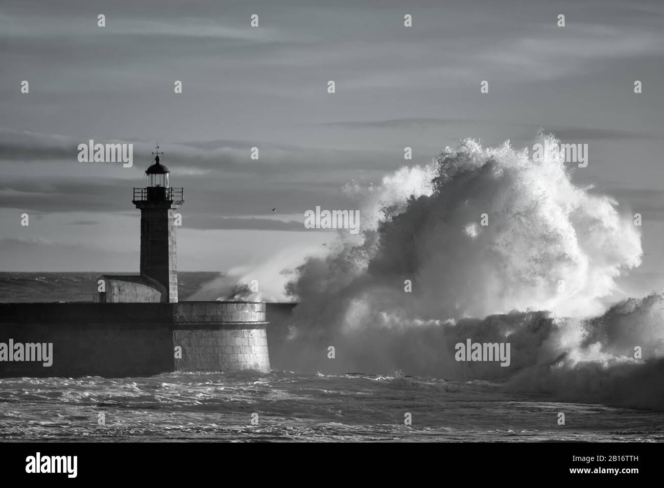 Full force nature hi-res stock photography and images - Alamy