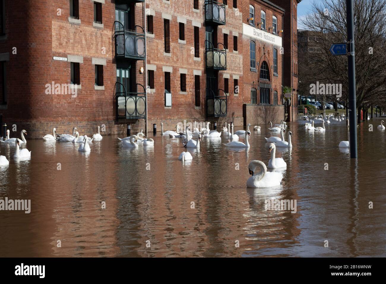 Worcester Cathederal, Worcester City, England, United Kingdom, 23/02 ...