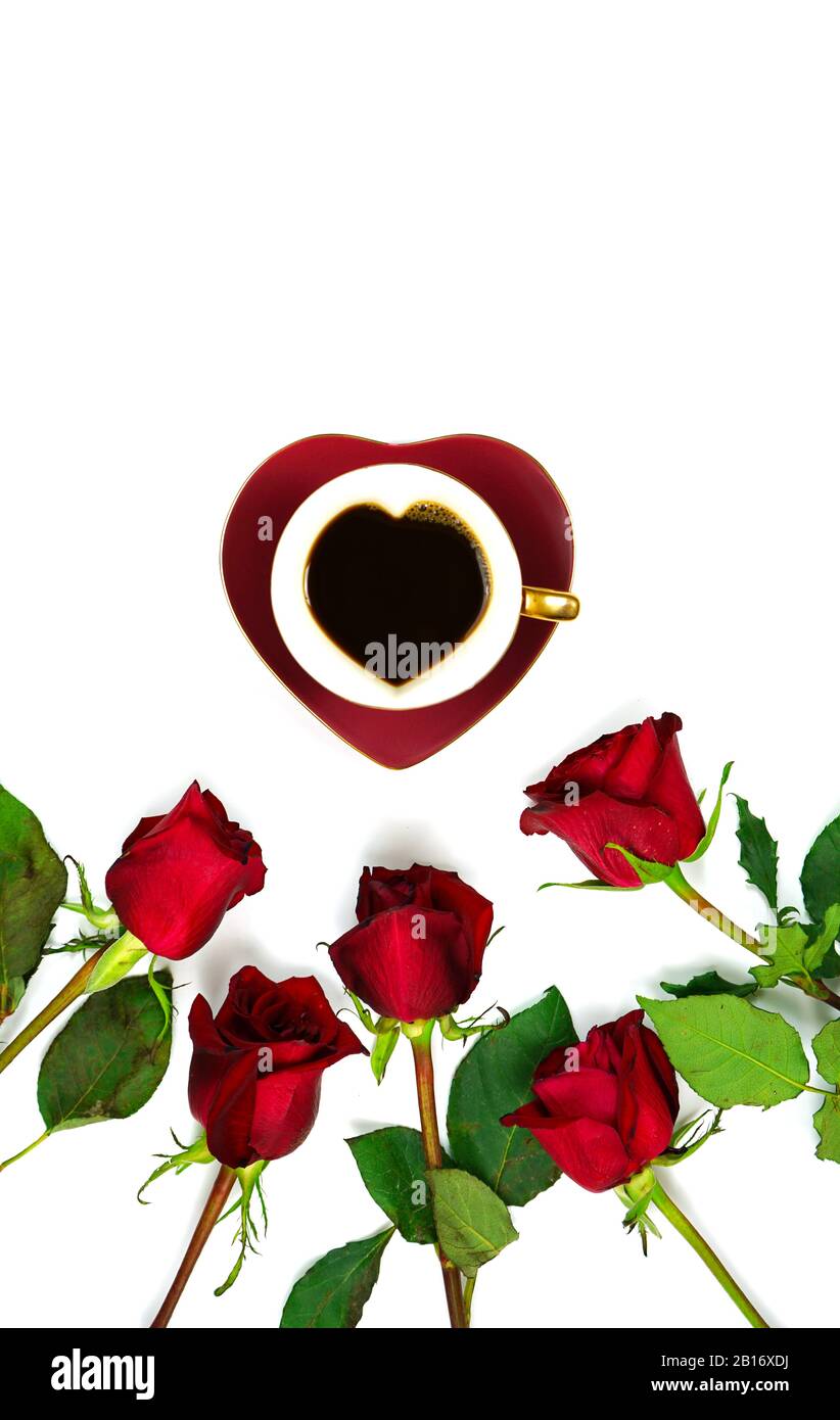 Cup Shaped Female Flower High Resolution Stock Photography and Images ...