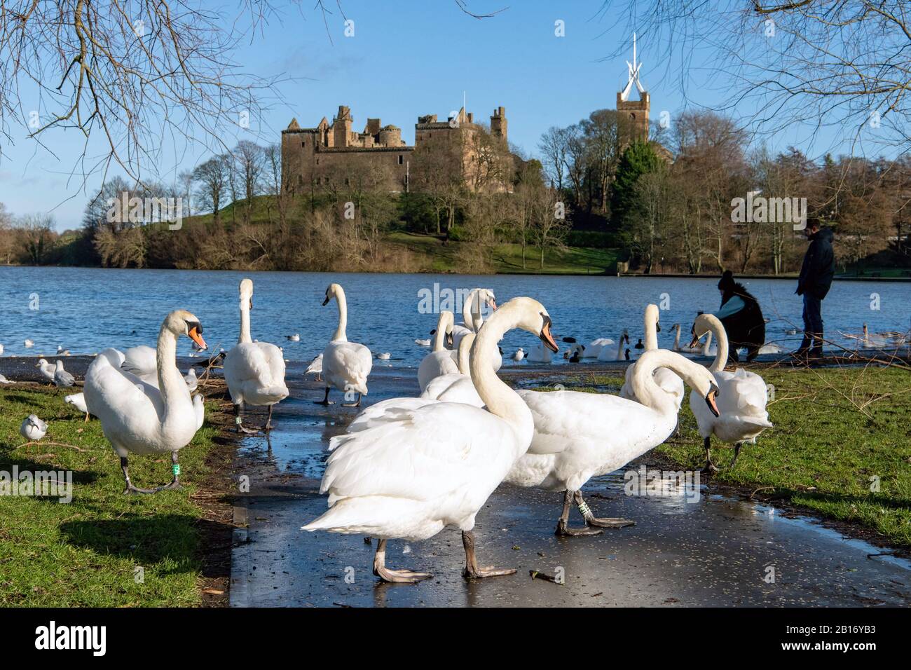 Cala Homes, Linlithgow Palace Stock Photo - Alamy