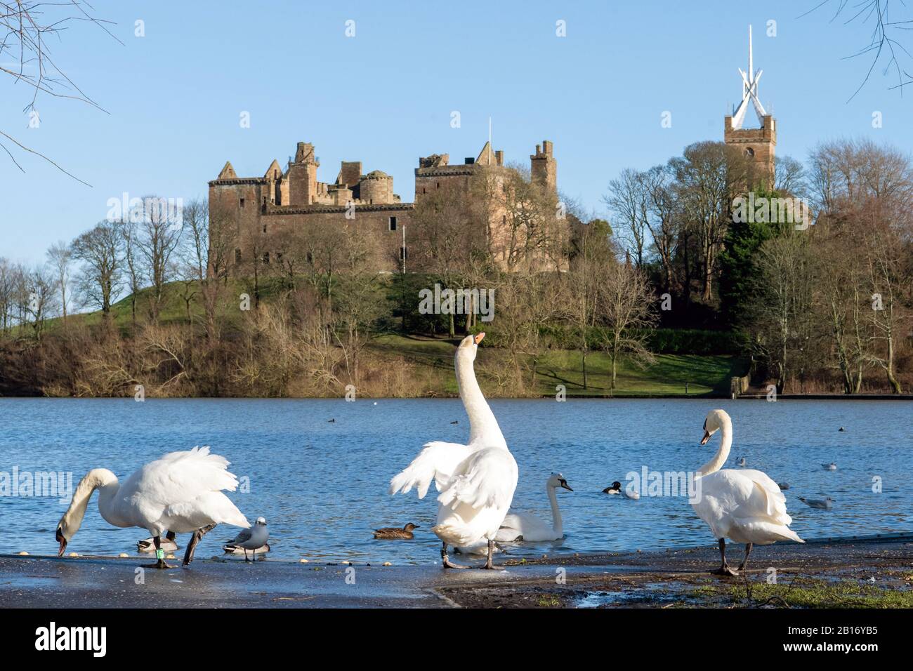 Cala Homes, Linlithgow Palace Stock Photo - Alamy