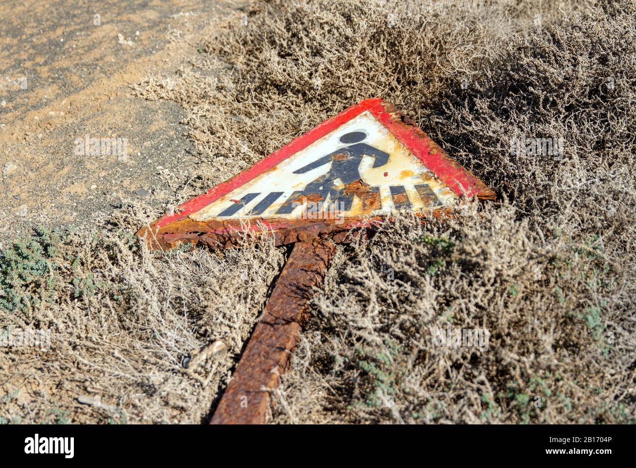 Life after humans Stock Photo - Alamy