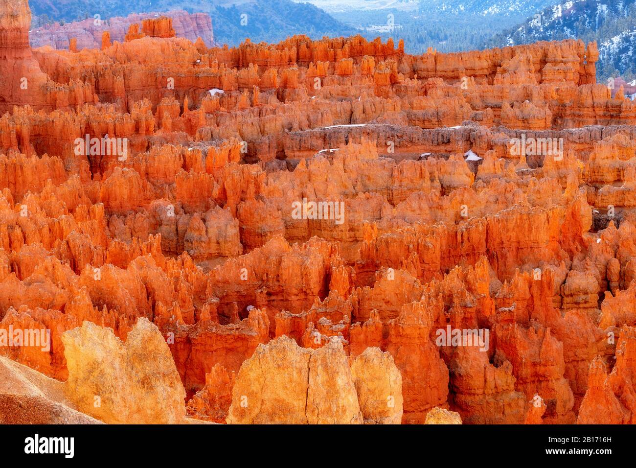Orange and yellow rocks in the Utah wilderness Stock Photo - Alamy