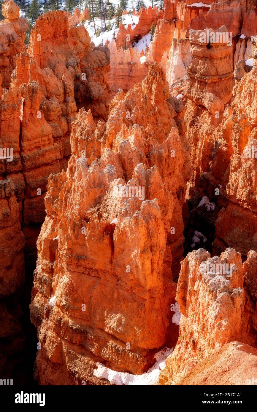Famous park in Utah Bryce canyon with its orange colored rocks Stock ...