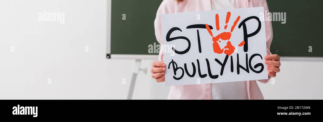 panoramic shot of schoolgirl holding placard with stop bullying ...