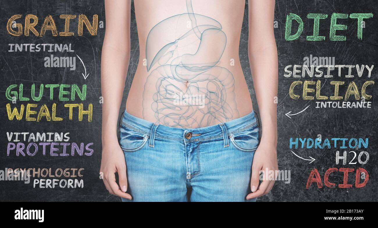 Concept diet. Digestive system. Healthy food diet. Woman abdomen Stock ...