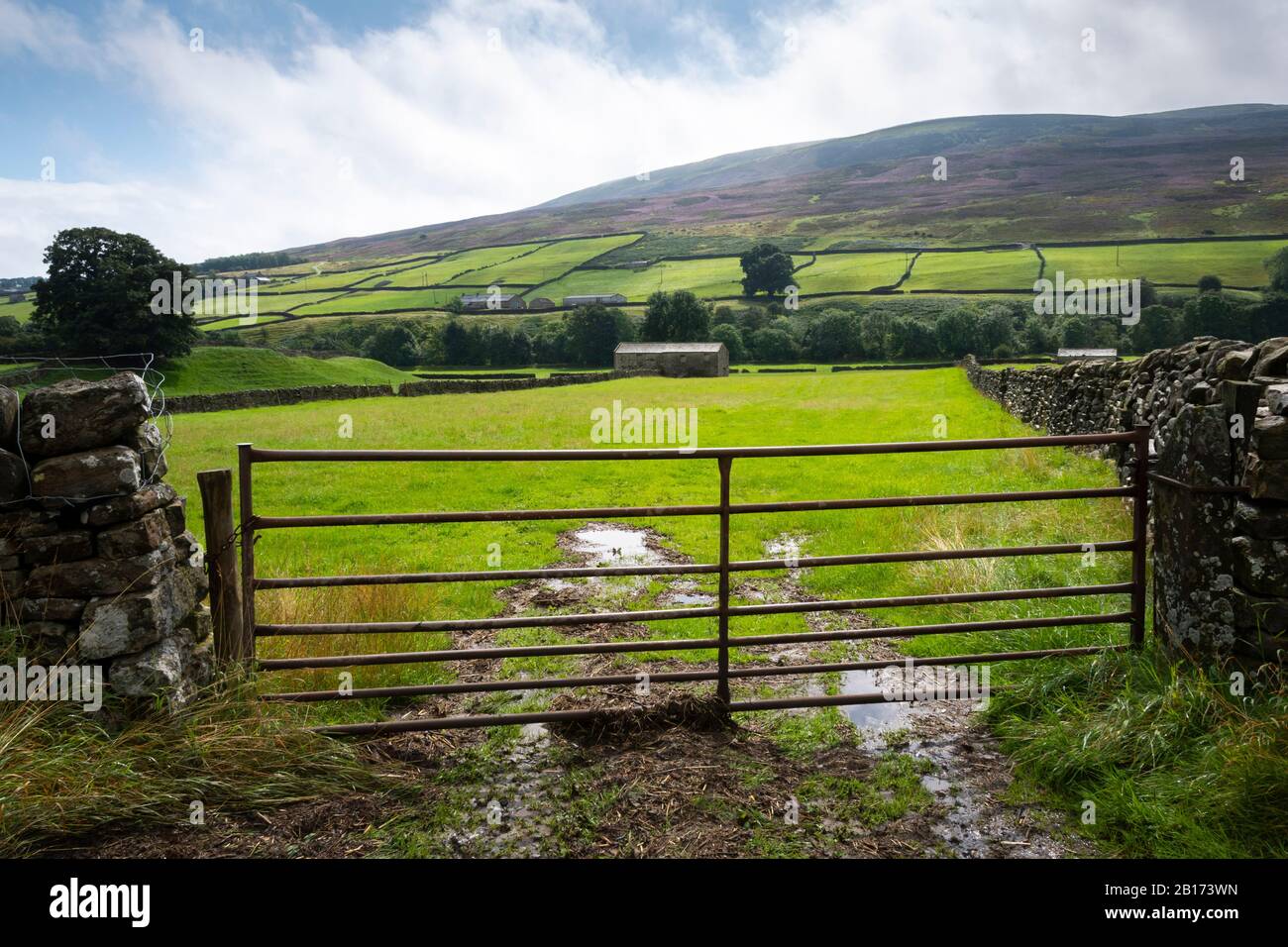 Swaledale, Yorkshire Dales National Park, England Stock Photo - Alamy