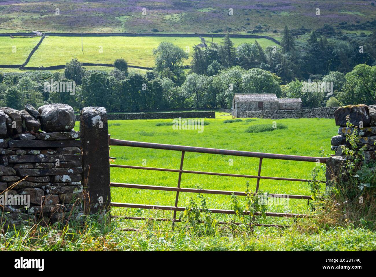 Swaledale, Yorkshire Dales National Park, England Stock Photo - Alamy