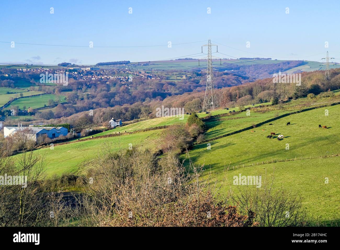 Countryside fields, Fox Hill, Sheffield, Yorkshire, England, UK Stock ...