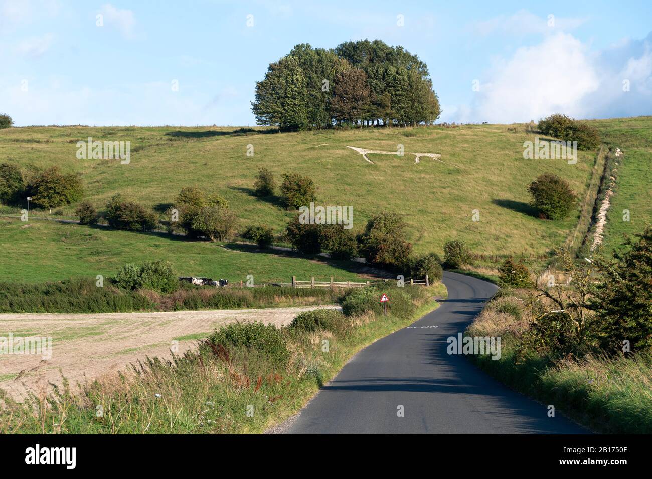 Hackpen white horse near the ridgeway hi-res stock photography and ...