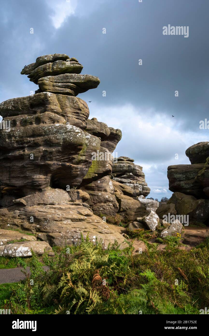 Brimham Rocks, near Harrogate, North Yorkshire, England Stock Photo - Alamy