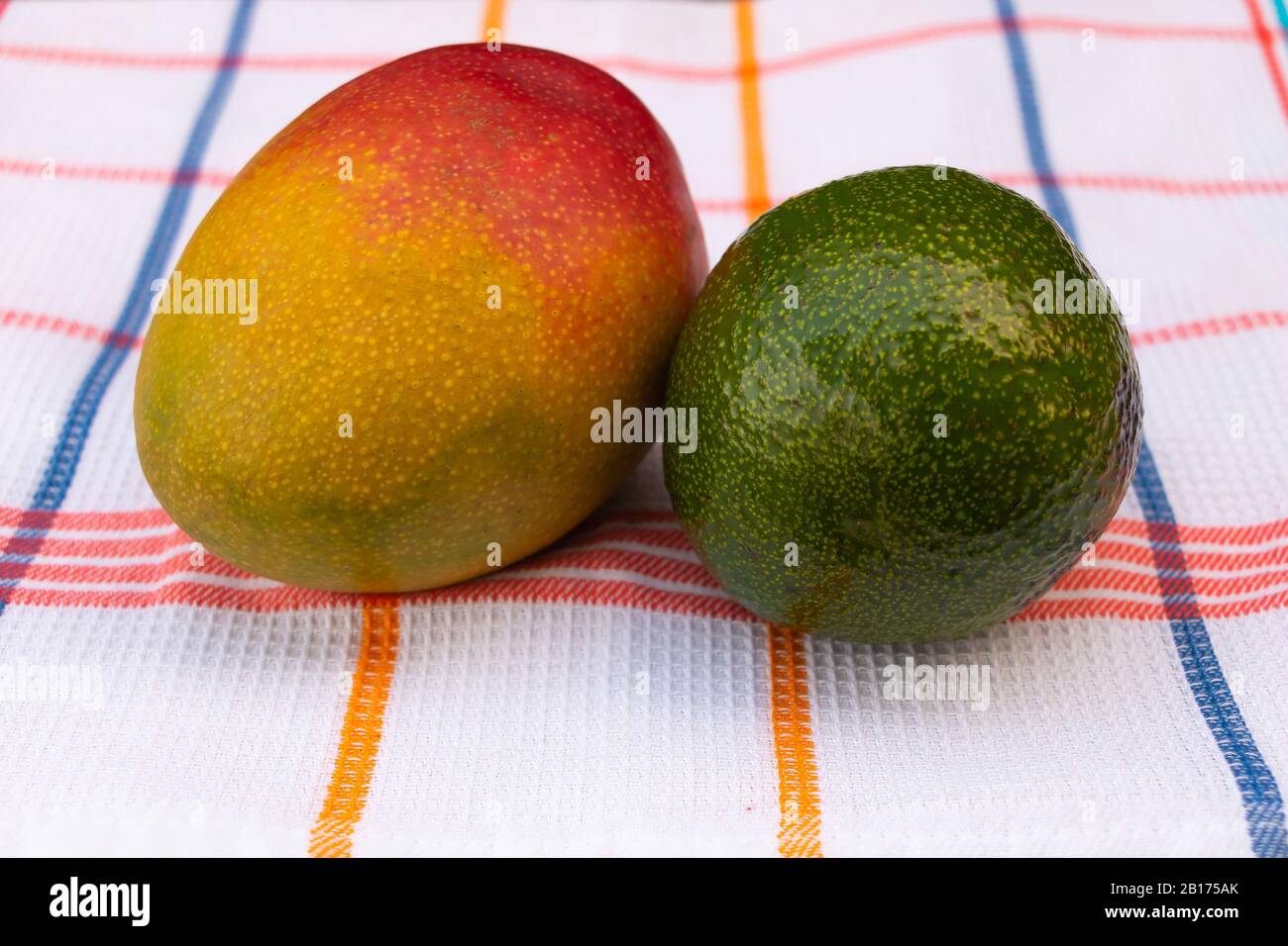 Mango and avocado fruits together. Fruit beneficial for health concept ...