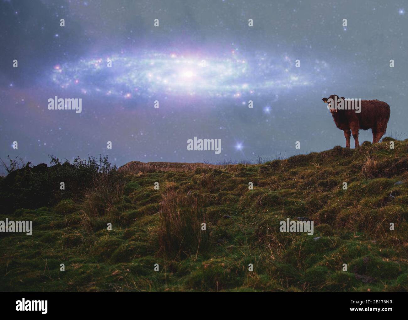 Galactic landscape hi-res stock photography and images - Alamy