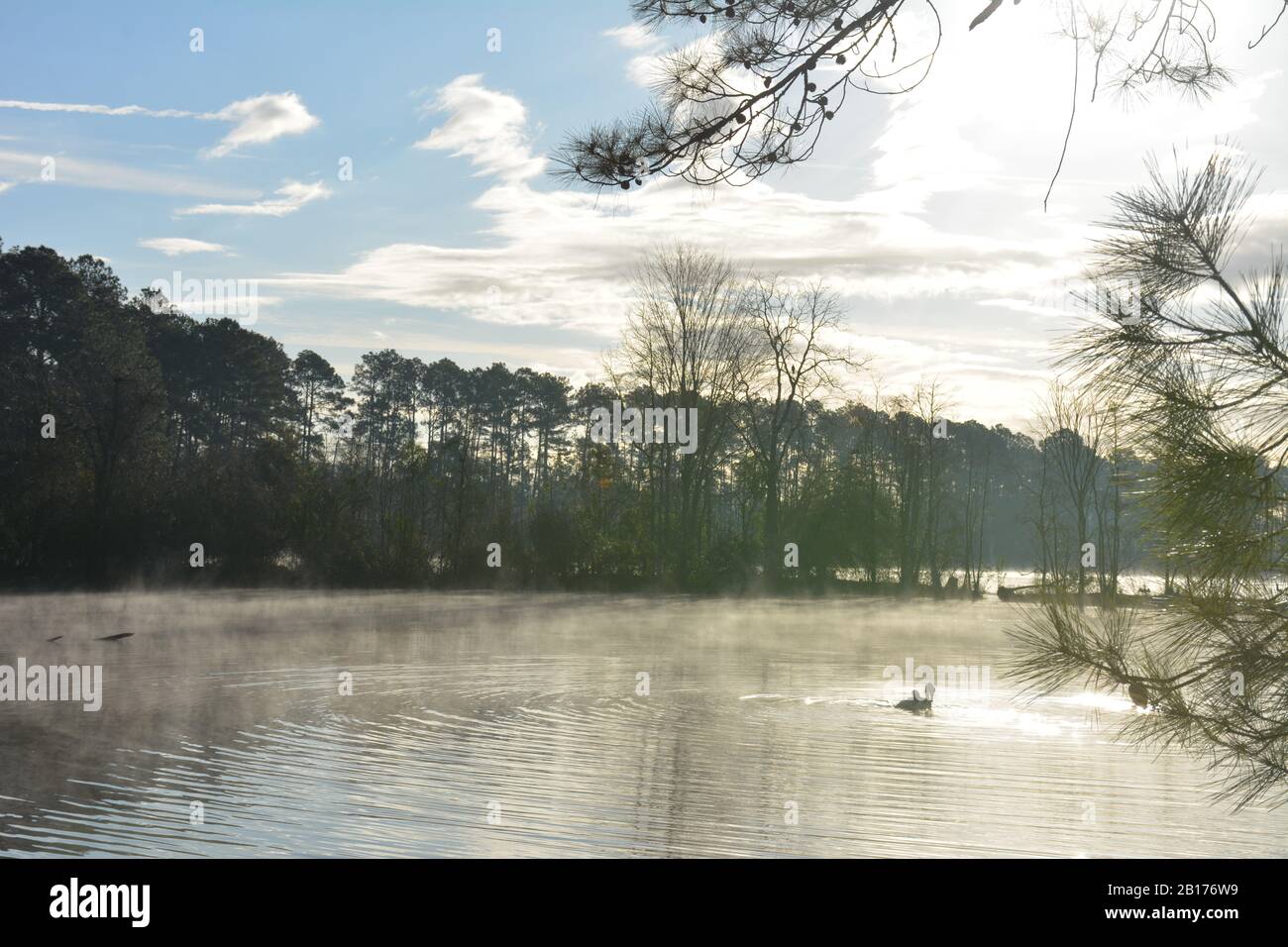 Morning mist on small lake in Georgia Stock Photo - Alamy