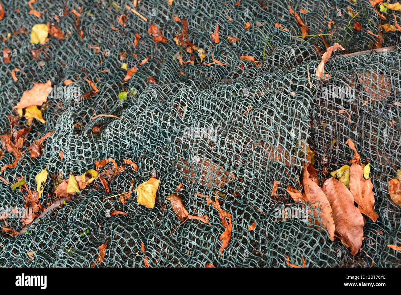 Hong kong mesh hi-res stock photography and images - Alamy