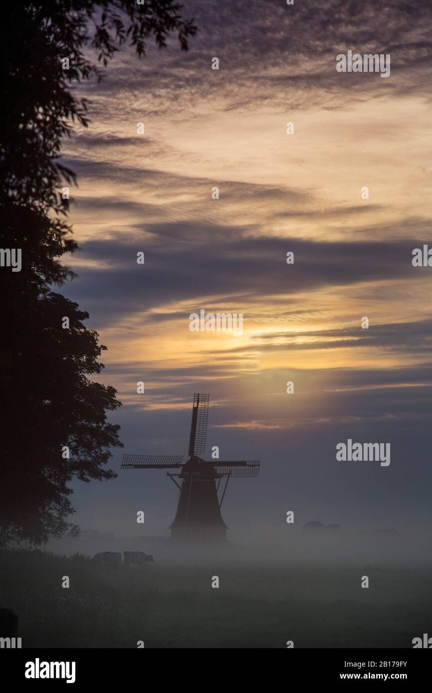 Hempenserpoldermolen smock mill in morning fog, Netherlands, Frisia ...