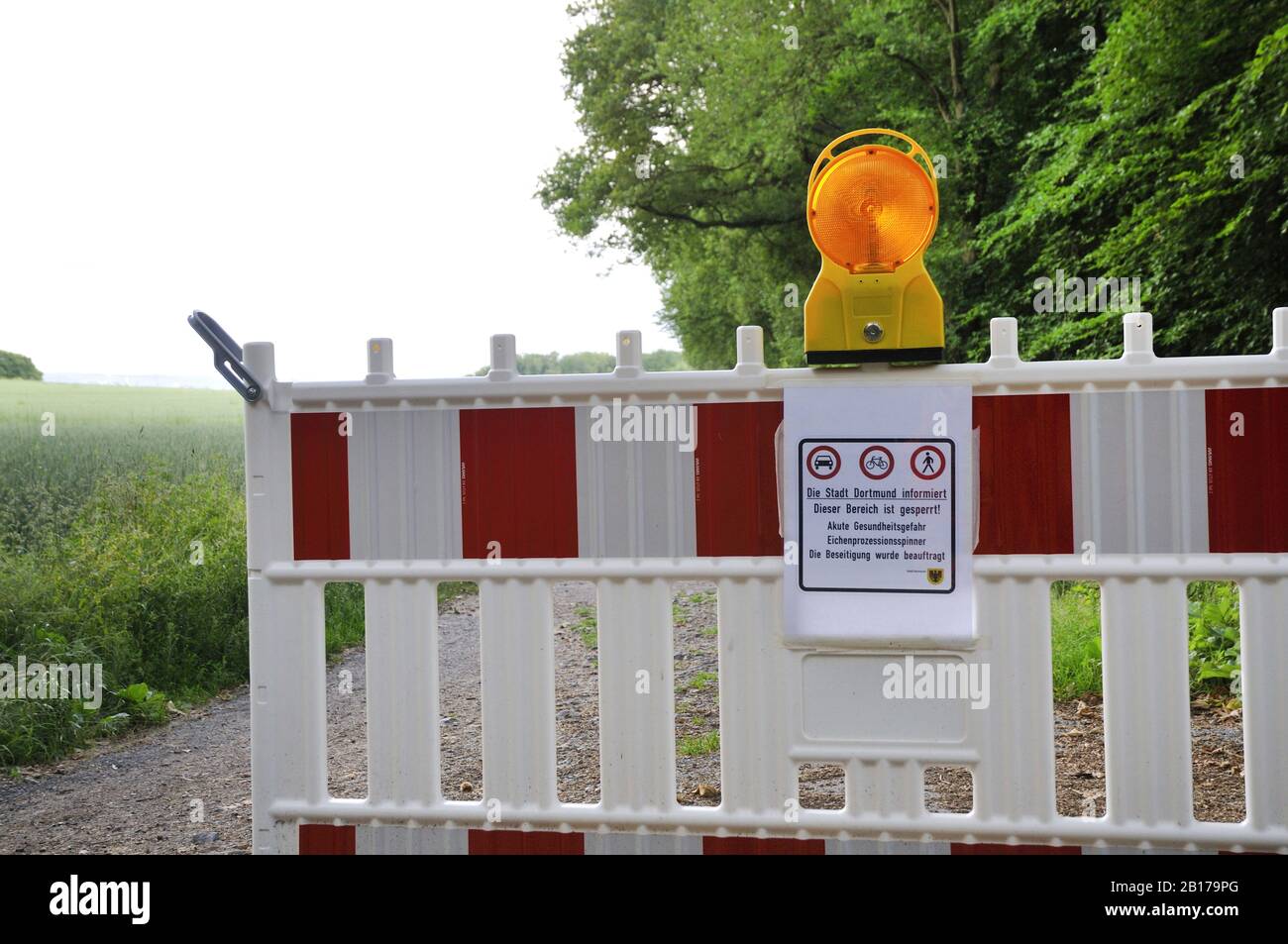 Processionary way hi-res stock photography and images - Alamy