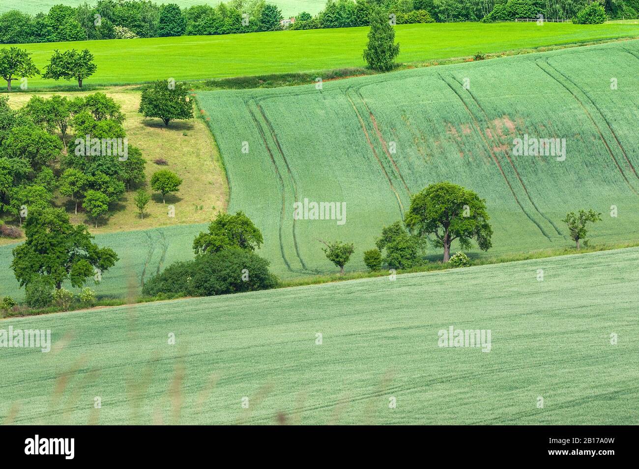 Ochsenburg hi-res stock photography and images - Alamy