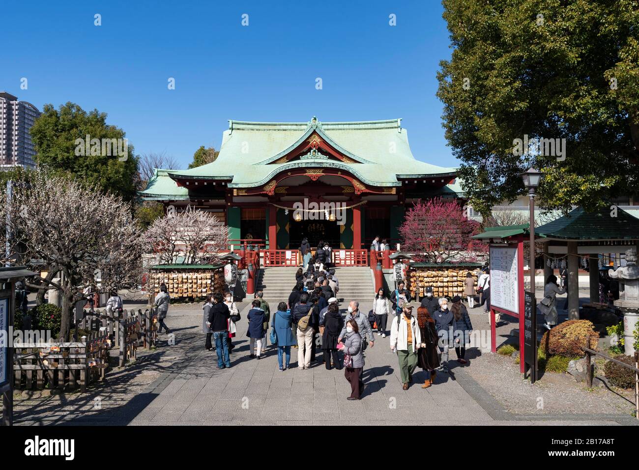 Kameido Tenjinsha Ume Festival Koto Ku Tokyo Japan Stock Photo Alamy