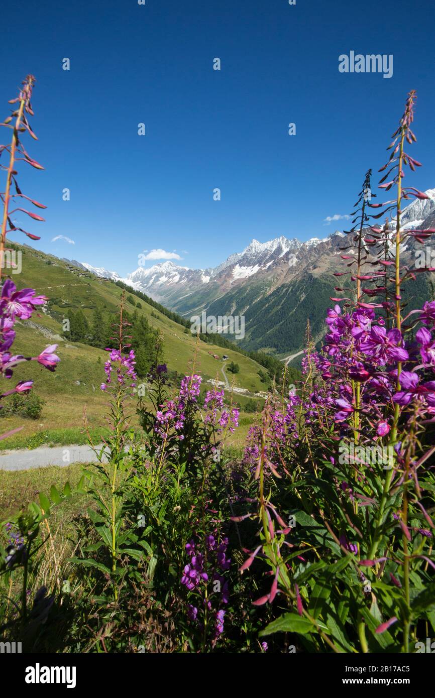 Sallies hi-res stock photography and images - Alamy