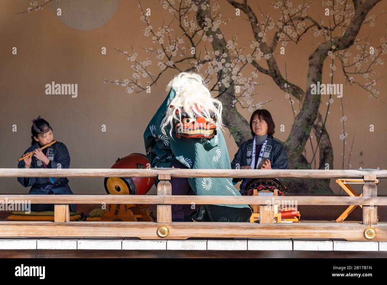 Performance of Shishimai, Kameido Tenjinsha Ume Festival, Koto-Ku ...