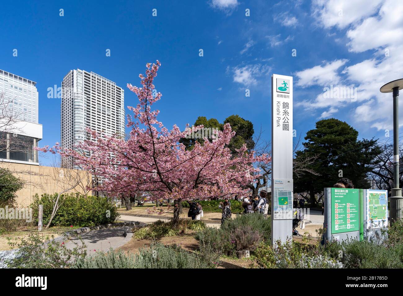 Kinshi Park, Sumida-Ku, Tokyo, Japan Stock Photo - Alamy
