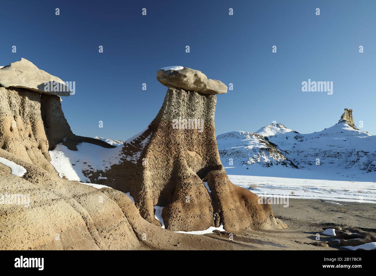 Bisti badlands, De-na-zin wilderness area, New Mexico Stock Photo - Alamy