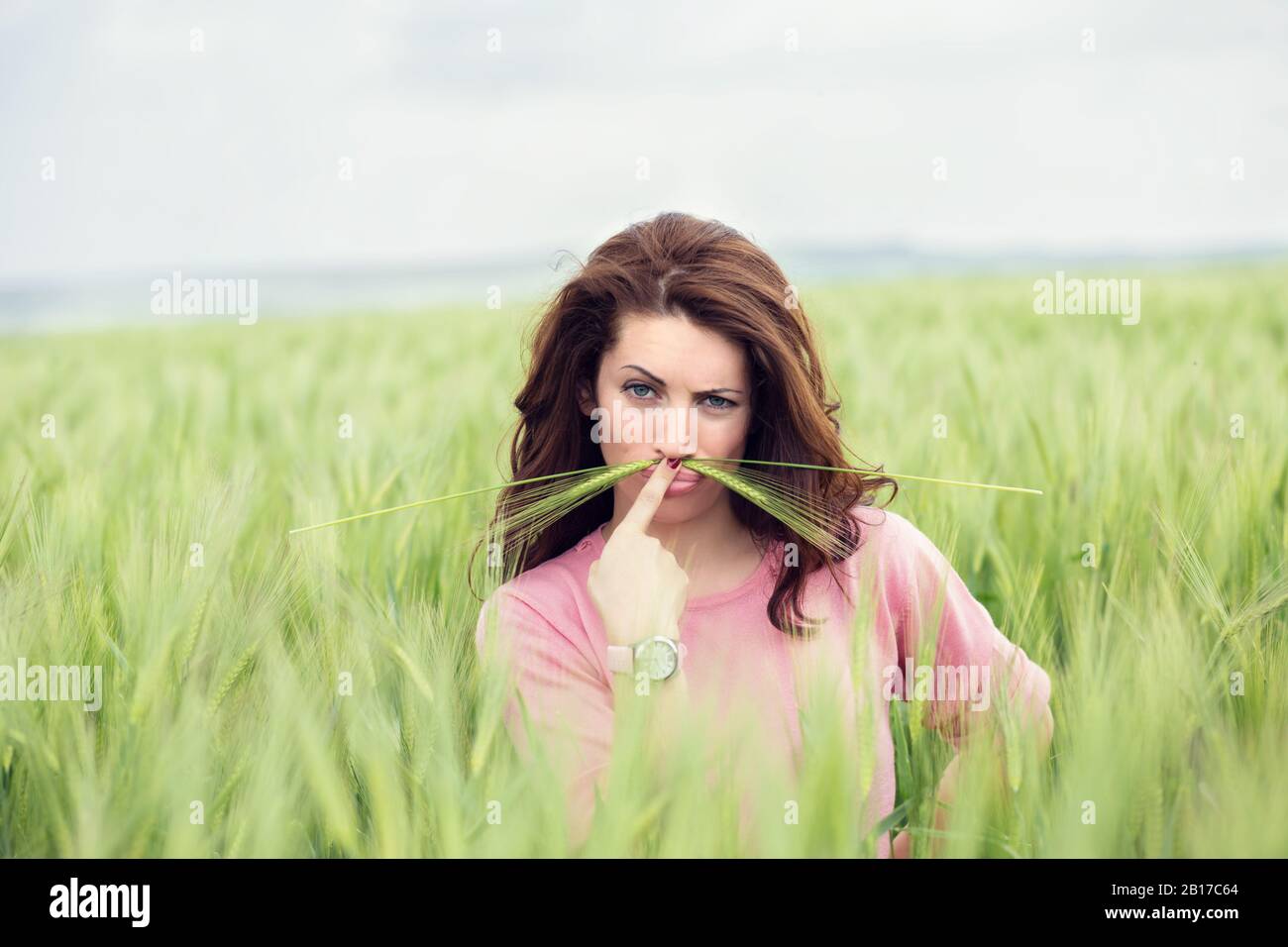 False wheat hi-res stock photography and images - Alamy