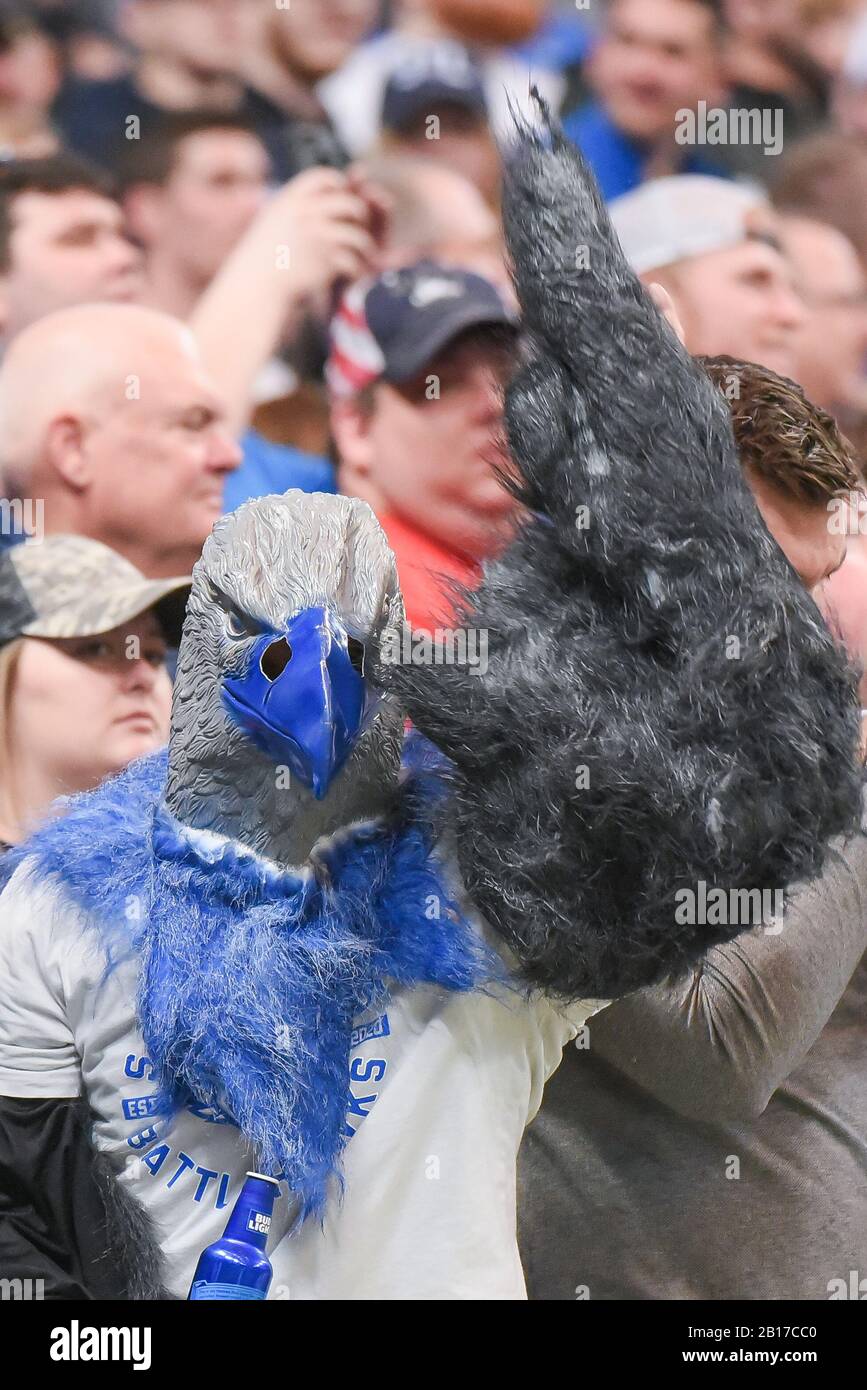 Feb 23, 2020: A fan dresses up as a Battlehawk in a game where the NY ...