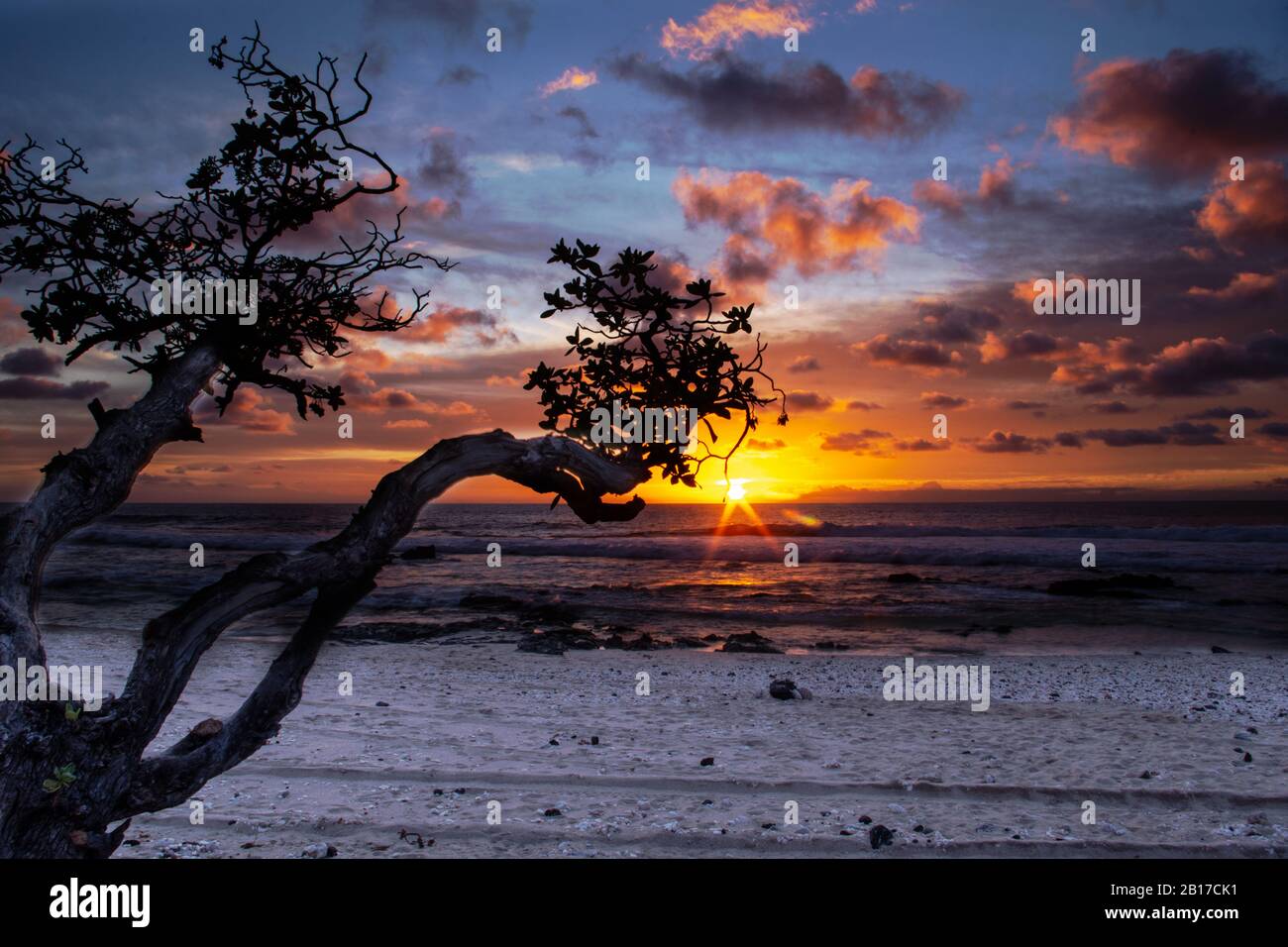 Beautiful ocean in golden sunset hi-res stock photography and images ...