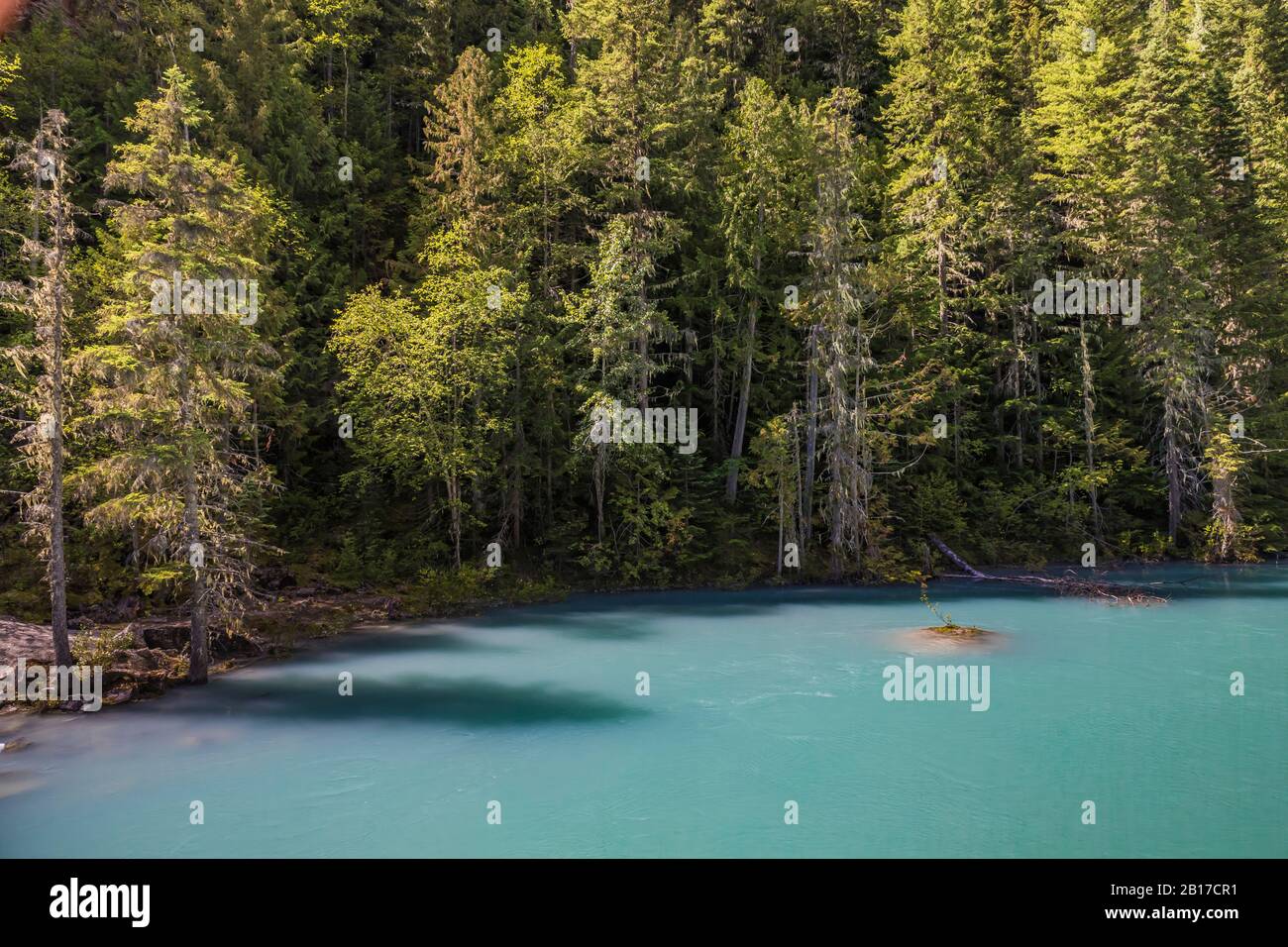 View upstream from bridge over Robson River, colored by glacial flour ...