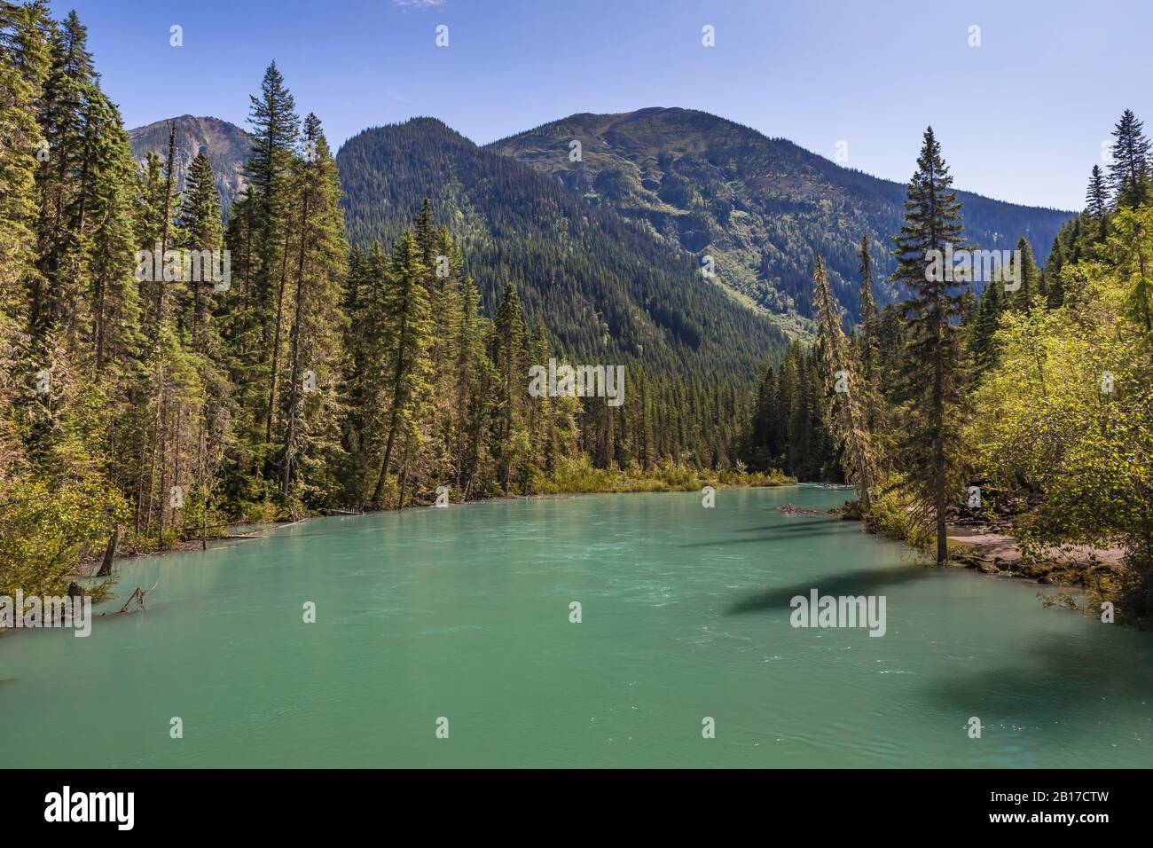 View upstream from bridge over Robson River, colored by glacial flour ...
