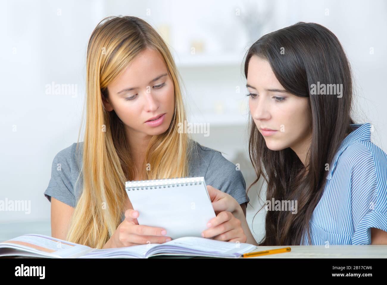 two females student learning together for exam Stock Photo - Alamy