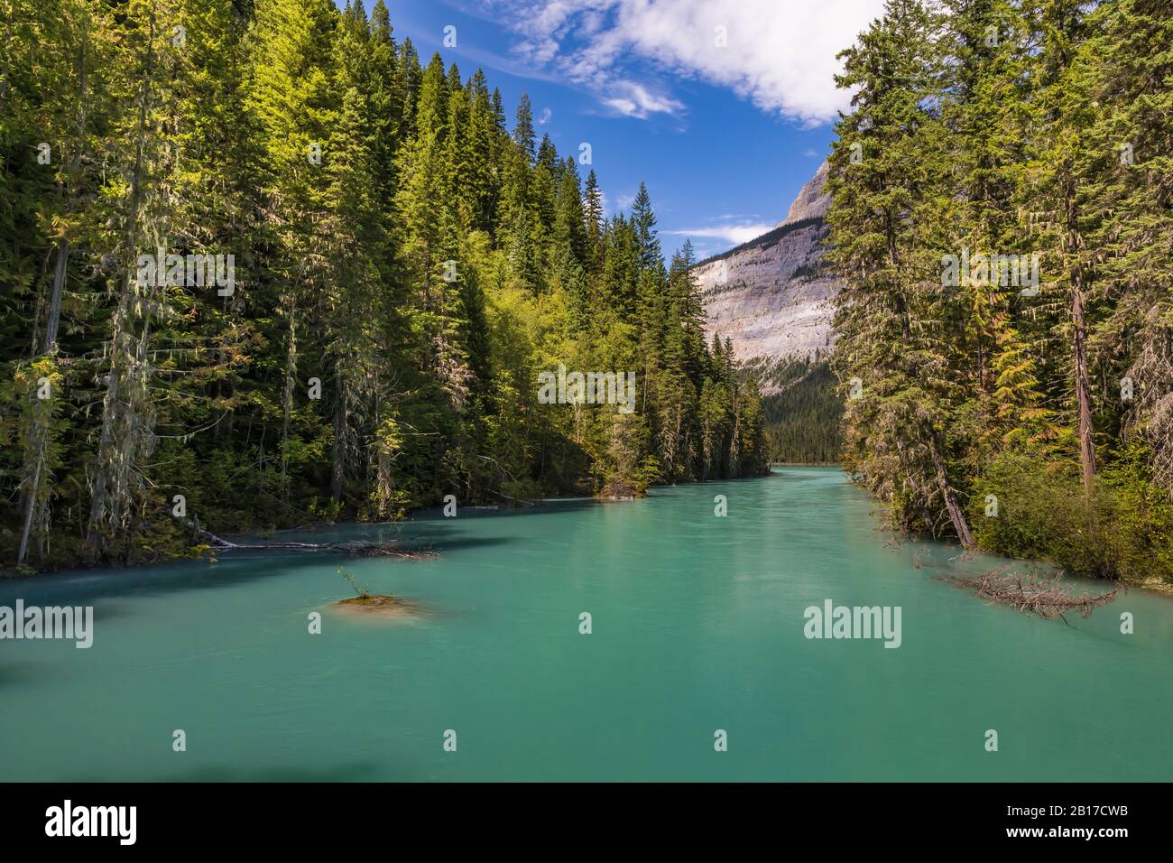 View upstream from bridge over Robson River, colored by glacial flour ...