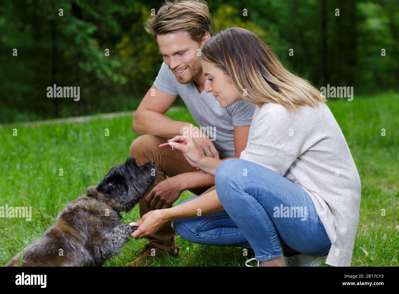 beautiful couple cuddling and walking a dog outdoors Stock Photo - Alamy
