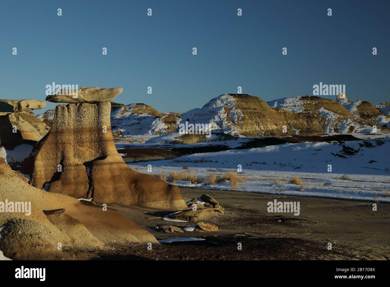 Bisti badlands, De-na-zin wilderness area, New Mexico Stock Photo - Alamy