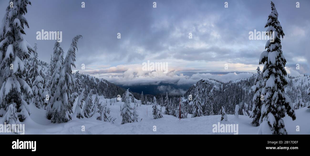 Canadian Nature Landscape covered in fresh white Snow during colorful ...