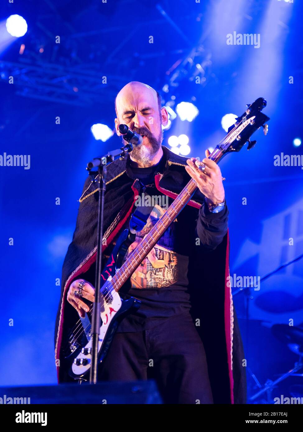 Filago bg hi-res stock photography and images - Alamy