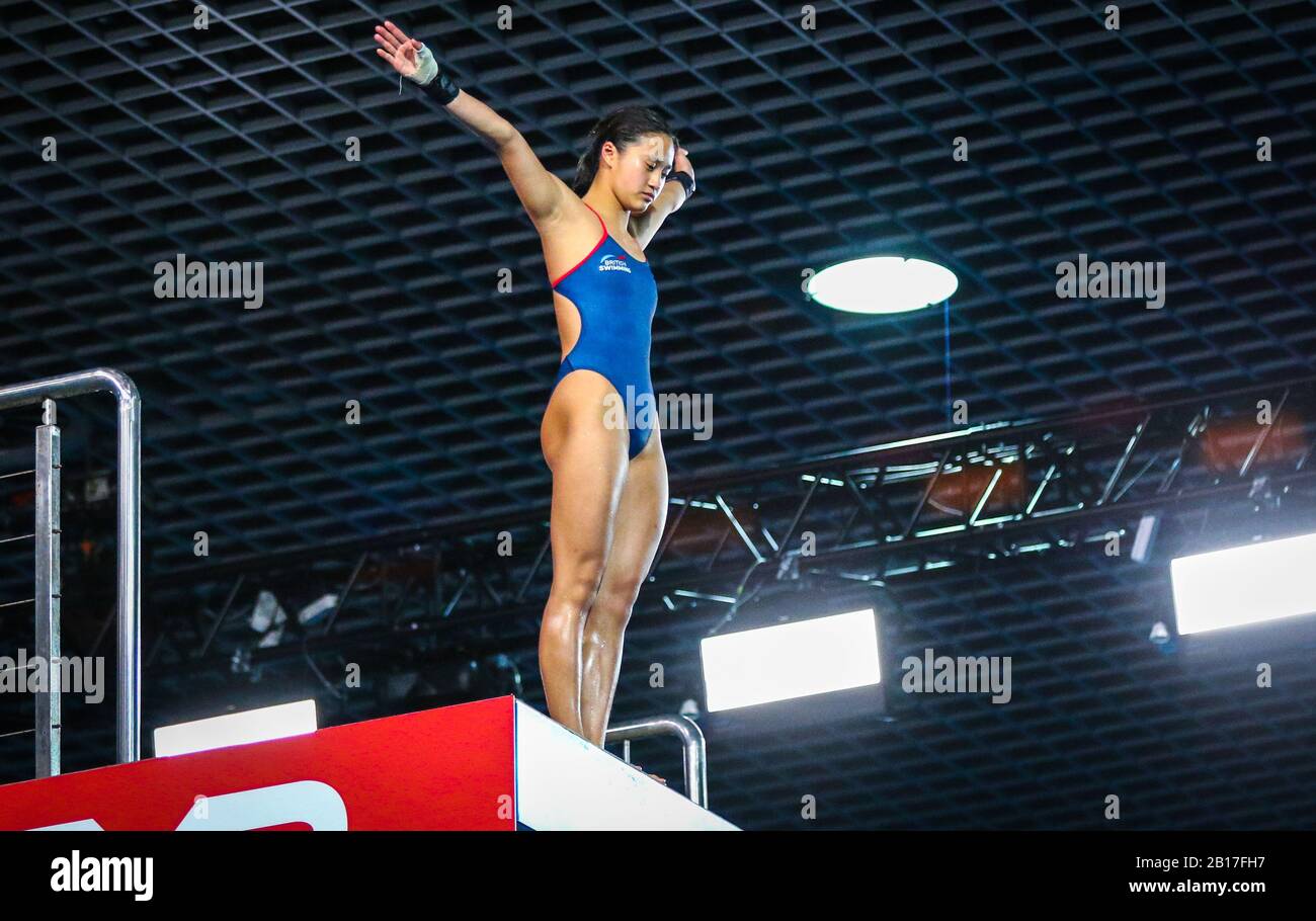 Olympic diver preparing hi-res stock photography and images - Alamy